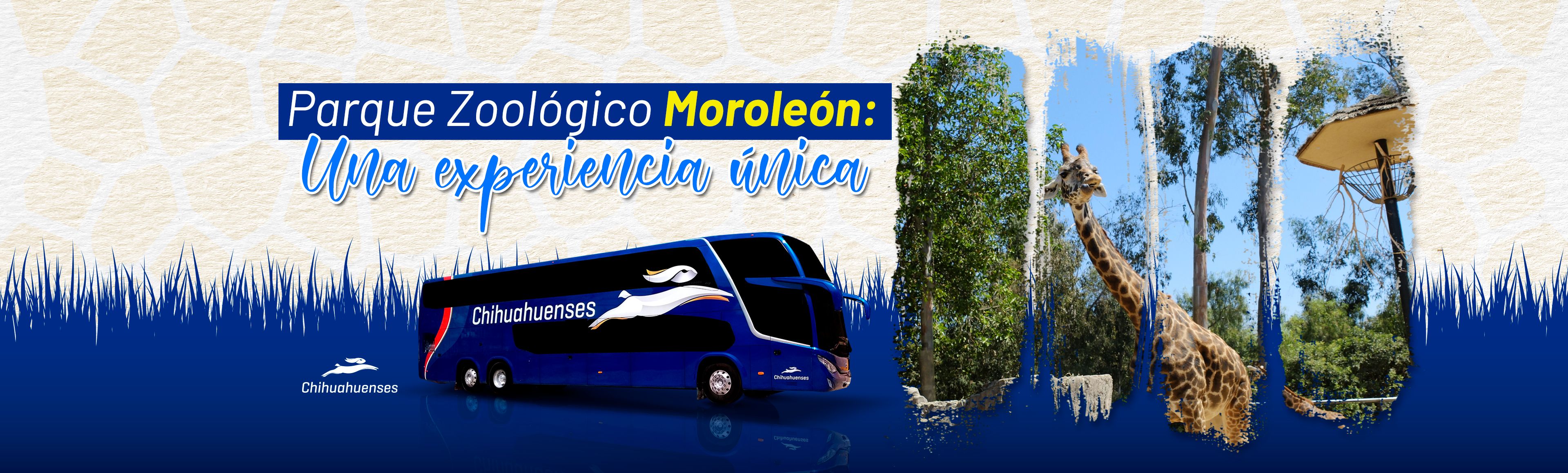 Autobuses Chihuahuenses, compra de boletos en línea