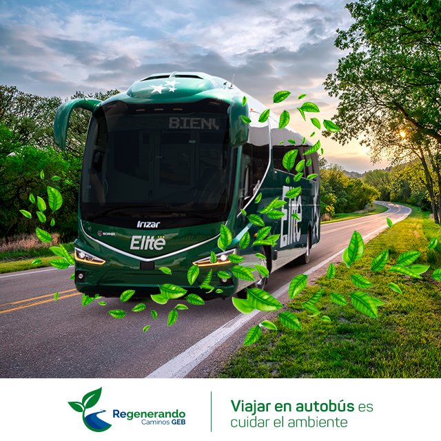 Elite, compra de boletos en línea, rutas y servicios