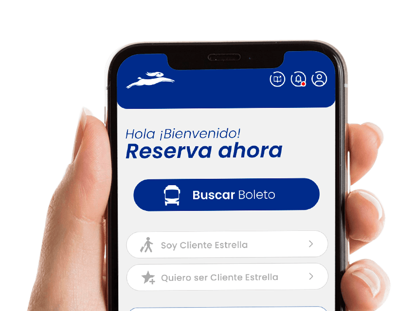 Autobuses Chihuahuenses, compra de boletos en línea