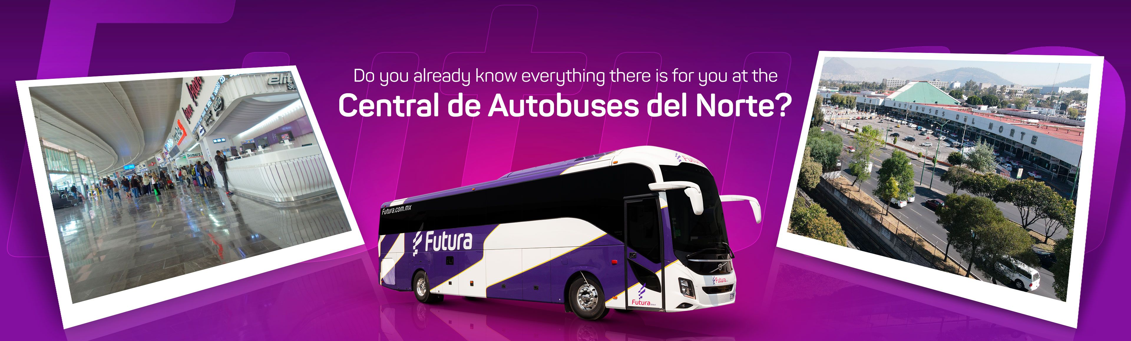 Autobuses Futura Logo Perfil De New Futura