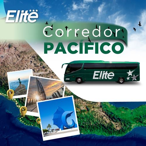 Elite, compra de boletos en línea, rutas y servicios