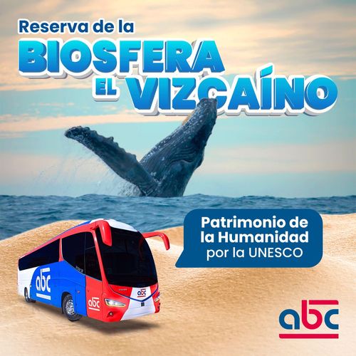 Autobuses ABC | Compra boletos de autobús en línea fácil y rápido